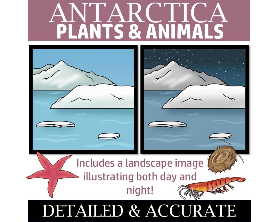 Antarctica Clip Art (plants and Animals of Antarctica Clip Art) - Etsy
