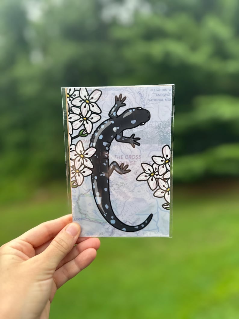 Salamander Mini Prints - Etsy