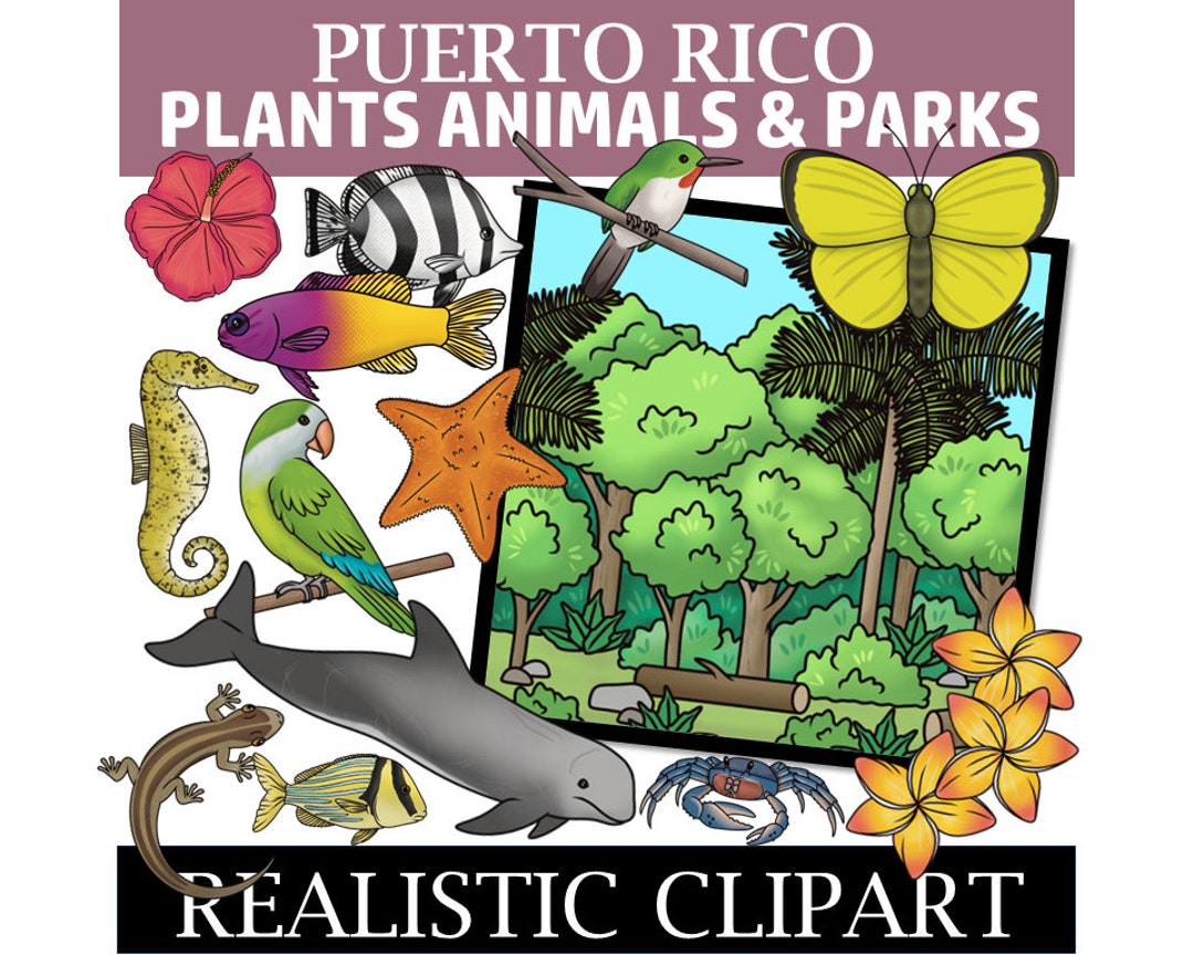 Puerto Rico Clip Art (plants, Animals, and Parks of Puerto Rico Clipart ...