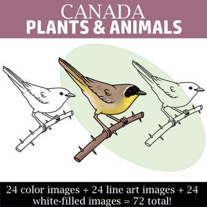 Canadian Clip Art - Plants and Animals of Canada Clipart - Etsy