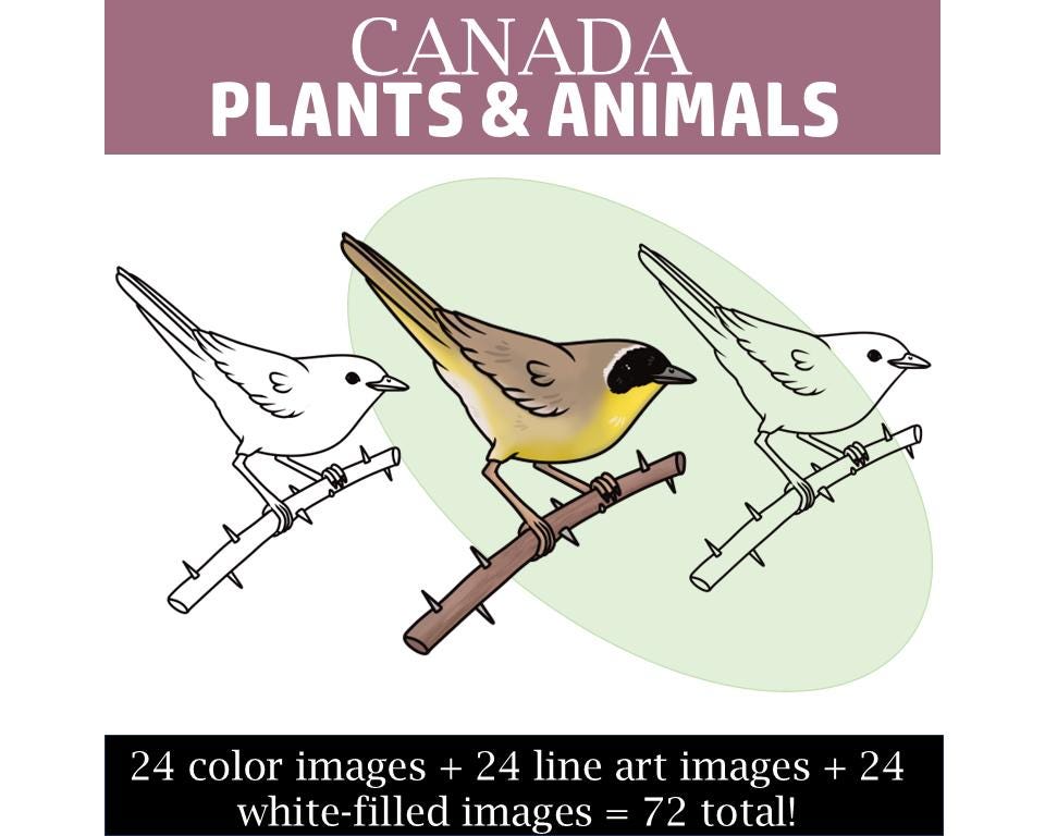 Canadian Clip Art - Plants and Animals of Canada Clipart - Etsy