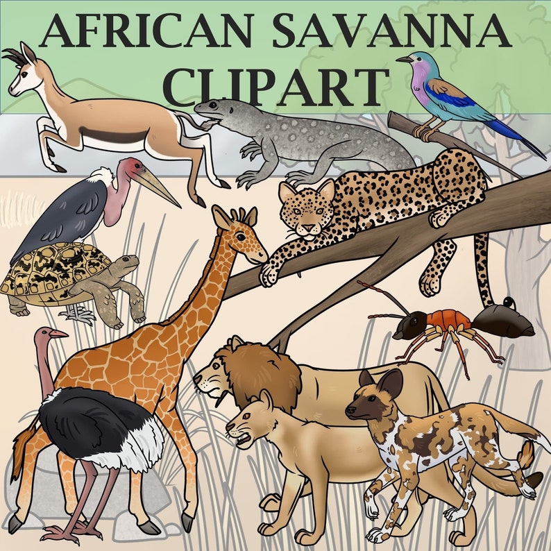 Plants and Animals of the African Savanna Clipart - Etsy