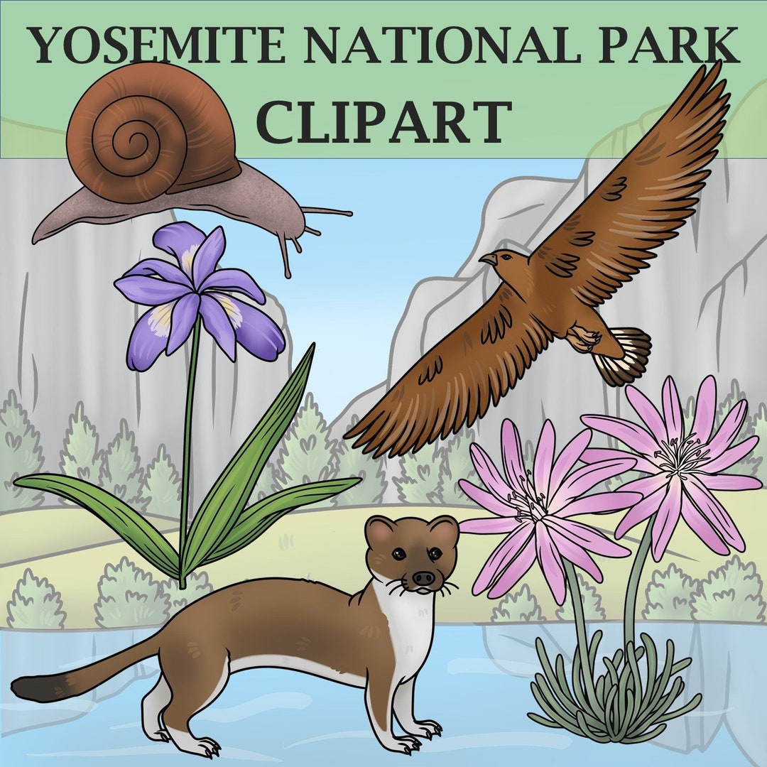 Plants and Animals of Yosemite National Park Clipart - Etsy