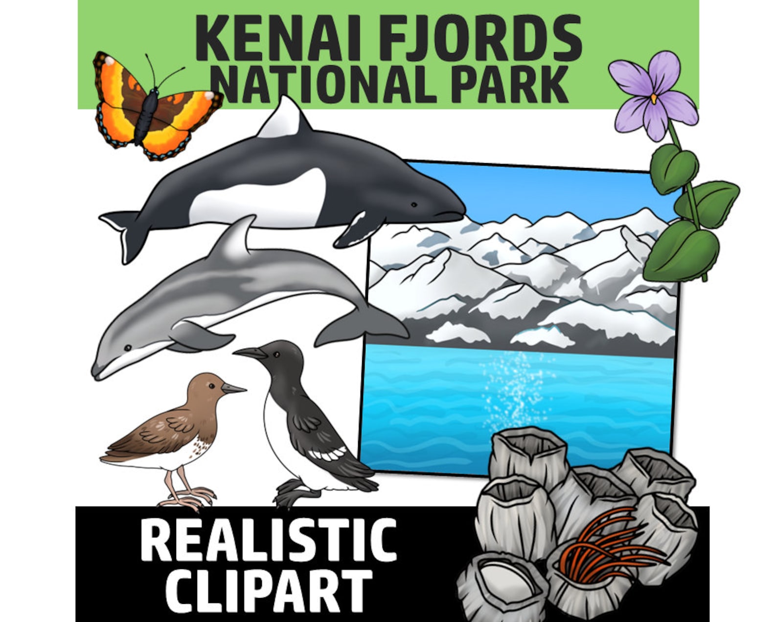 Kenai Fjords National Park Clip Art - National Park Clipart - Etsy