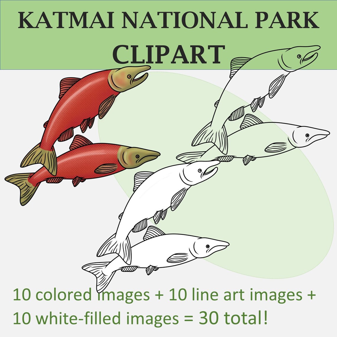 Plants and Animals of Katmai National Park Clipart - Etsy