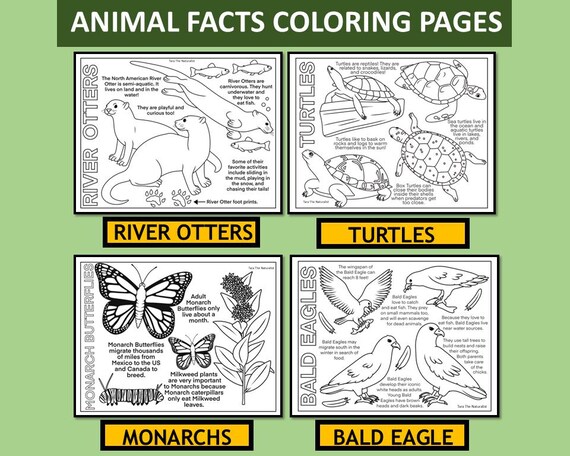 North American Animals Coloring Pages Endangered Animals Coloring