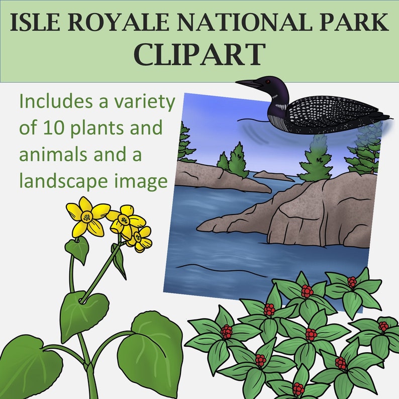 Plants and Animals of Isle Royale National Park Clipart - Etsy