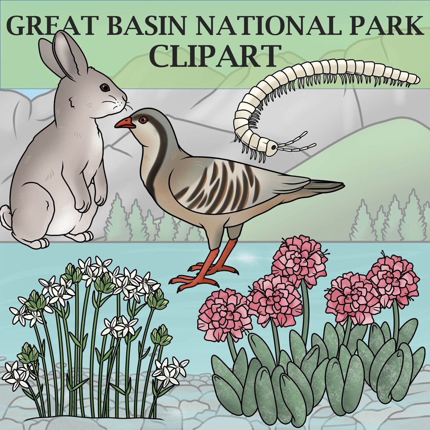 Great Basin Animals