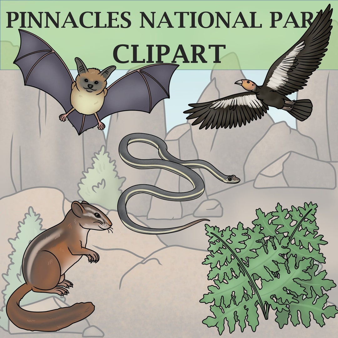 Plants and Animals of Pinnacles National Park Clipart - Etsy