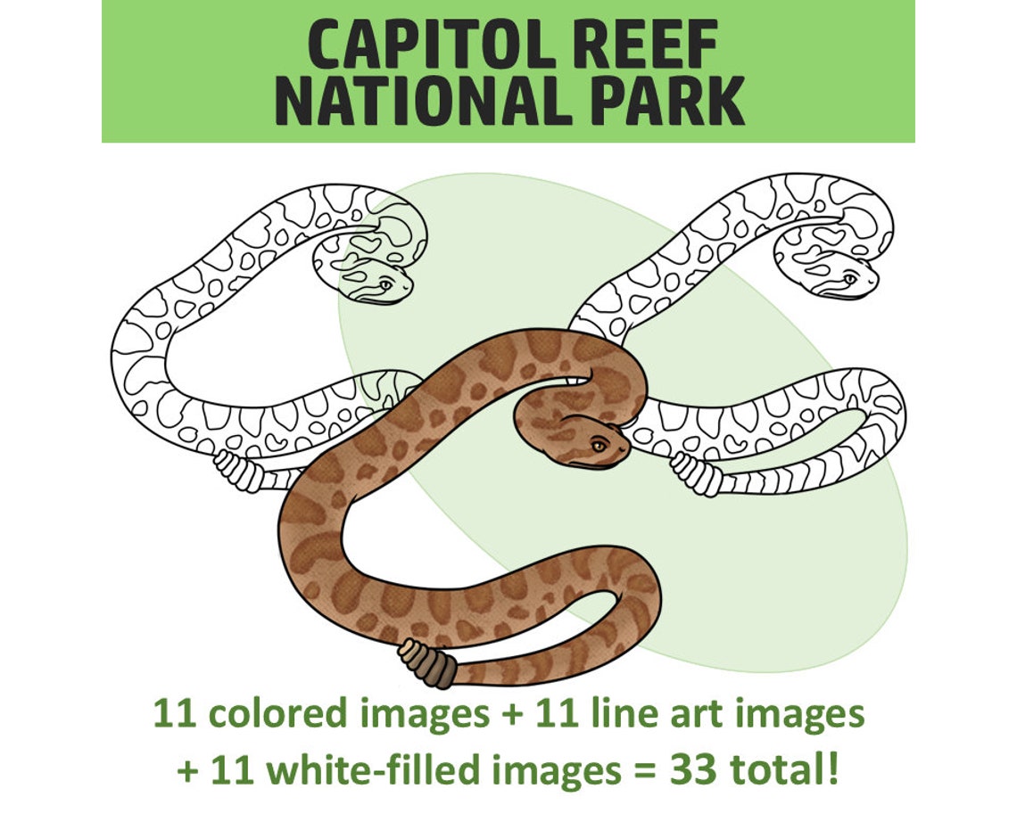 Capitol Reef National Park Clipart: Plants & Animals (33 Images) - Etsy