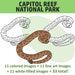 Capitol Reef National Park Clipart: Plants & Animals (33 Images) - Etsy