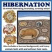 Hibernating Animals Clip Art - Etsy