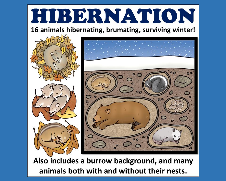 Hibernating Animals Clip Art - Etsy