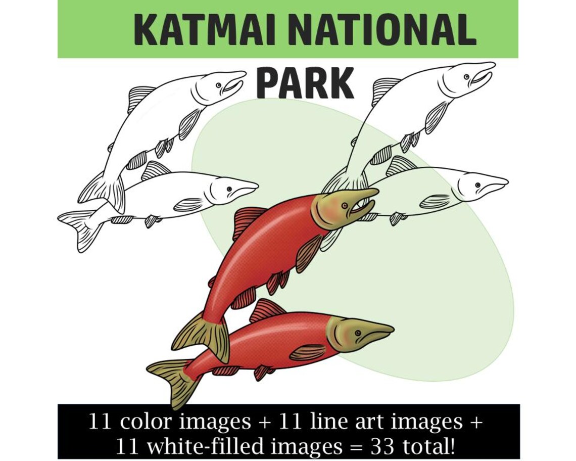 Plants and Animals of Katmai National Park Clipart - Etsy