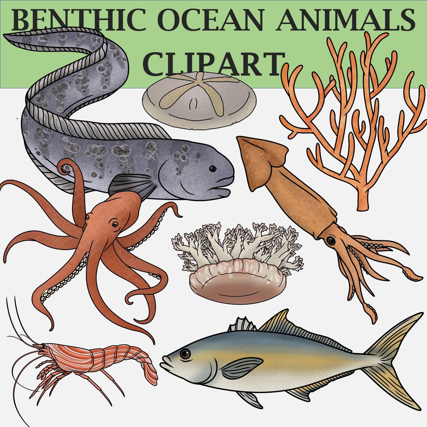 Clipart Ocean Floor