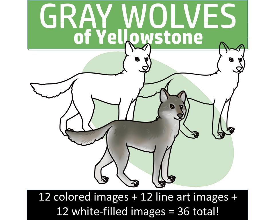Wolf Life Cycle Clip Art (wolves of Yellowstone ) - Etsy