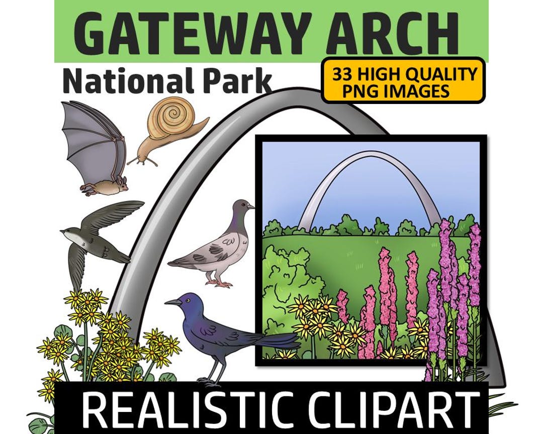 Gateway Arch National Park Clipart: Missouri Wildlife Illustrations ...