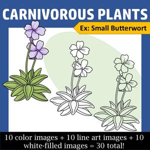 Carnivorous Plants Clip Art - Etsy