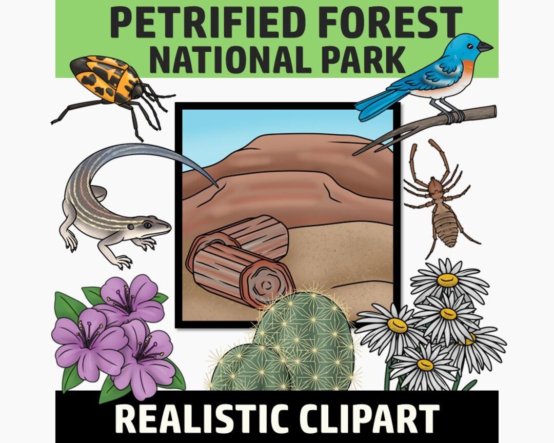 Petrified Forest National Park Clipart: Plants & Animals - Etsy
