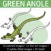 Lizard Life Cycle Clip Art (green Anole) - Etsy