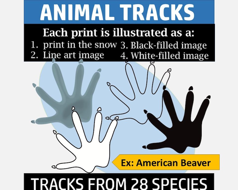 Animal Tracks Clip Art (paw Prints and Snow Prints) - Etsy