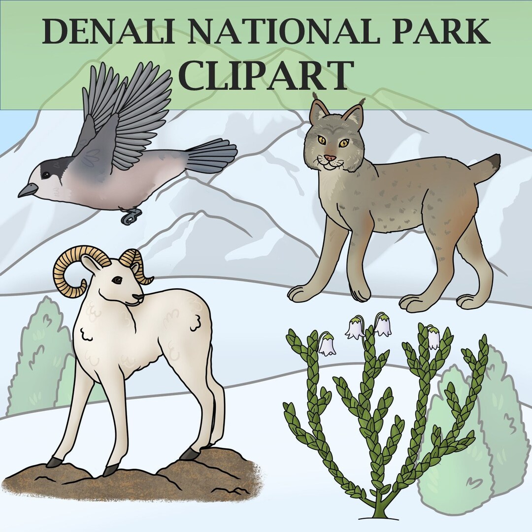 Plants and Animals of Denali National Park Clipart - Etsy