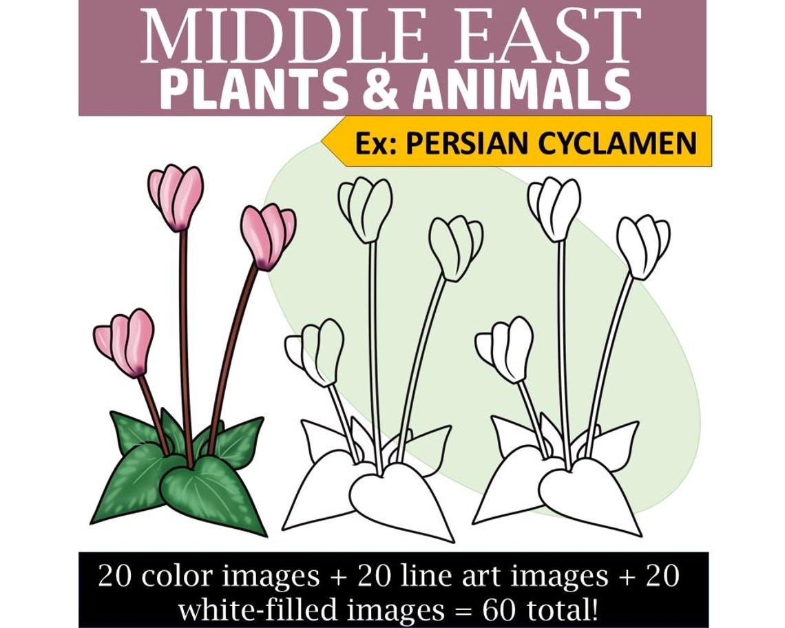 Middle East Clip Art (plants and Animals of the Middle East Clipart ...