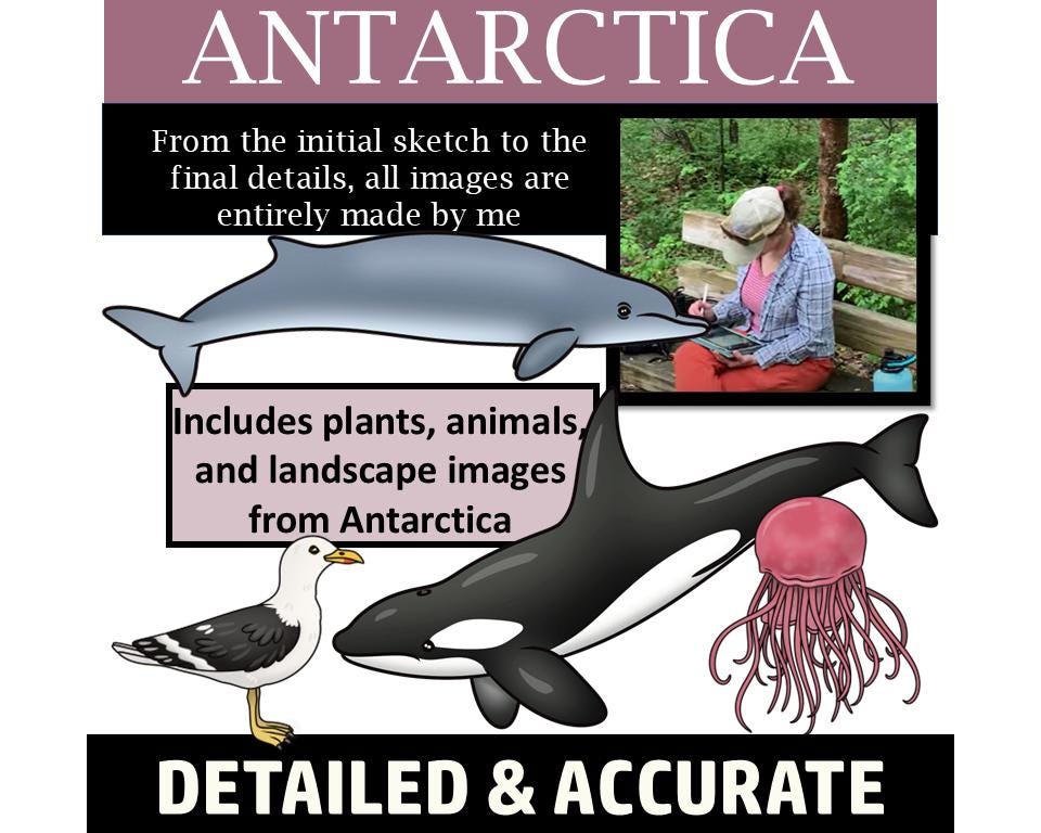 Antarctica Clip Art (plants and Animals of Antarctica Clip Art) - Etsy