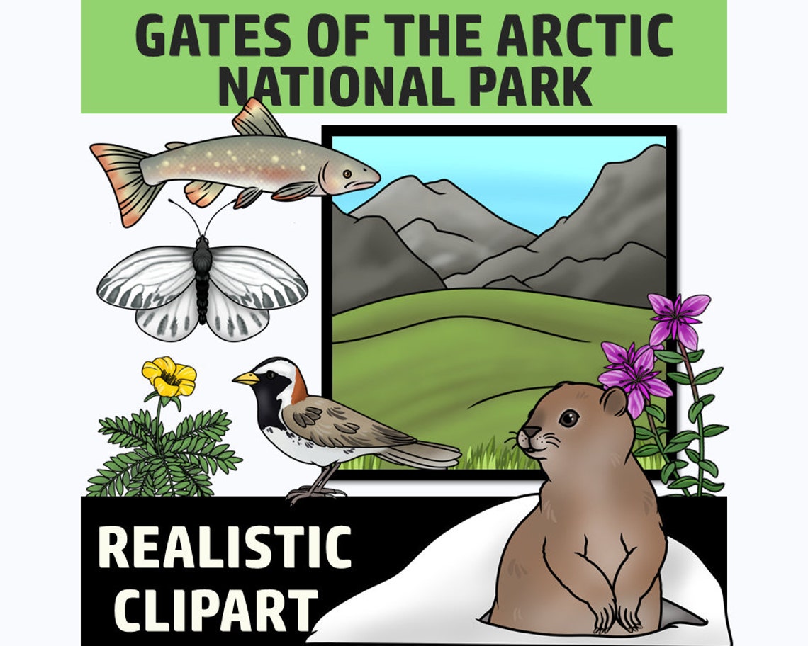 Gates of the Arctic National Park Clipart: Plants & Animals - Etsy