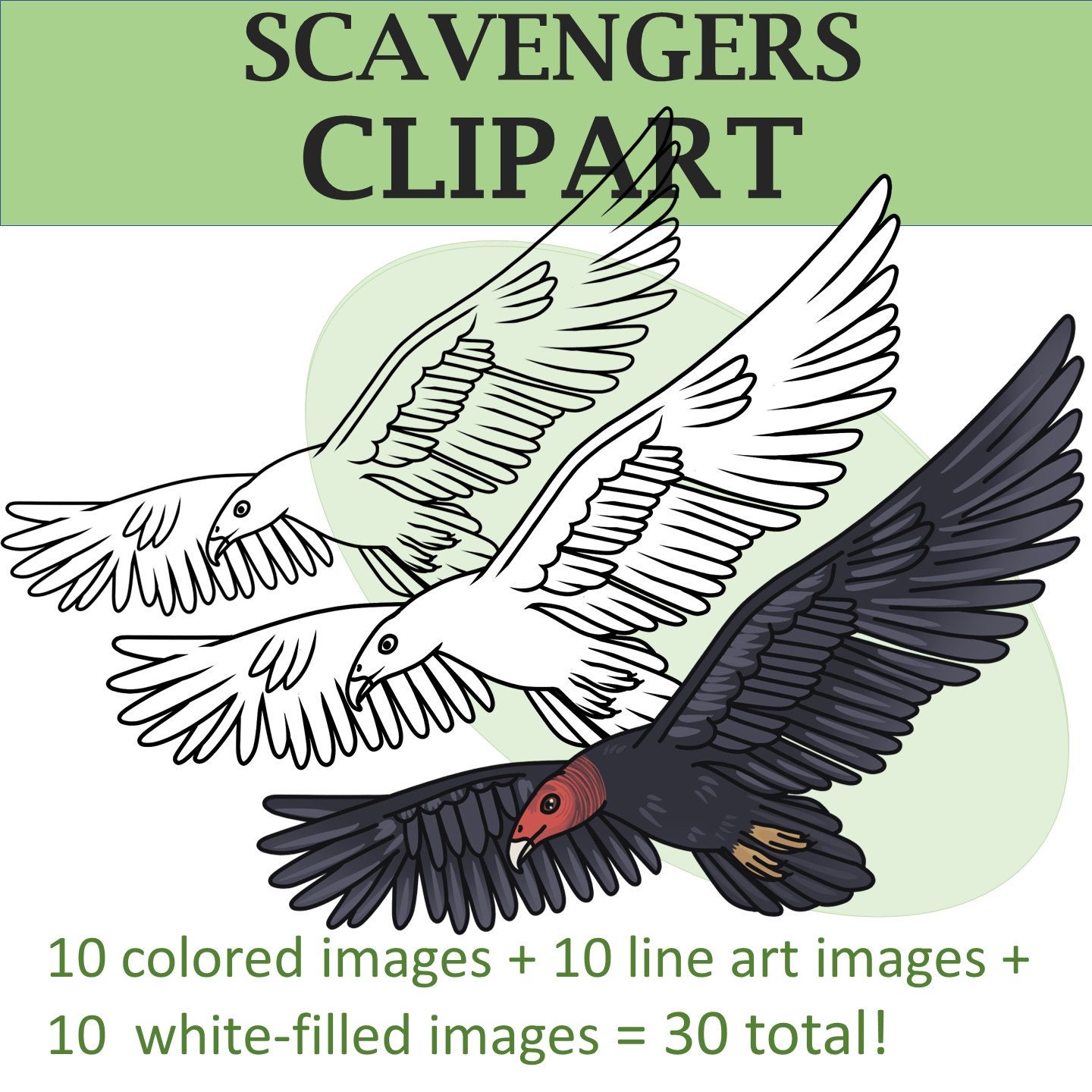 Scavengers Animals Clipart