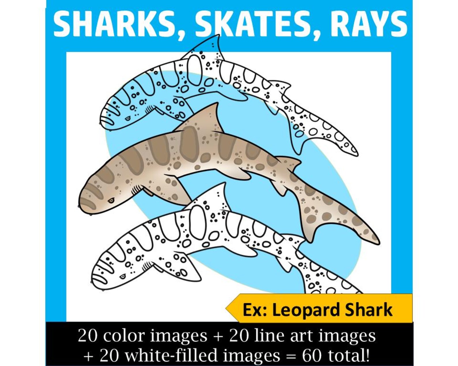 Sharks Skates and Rays Clipart (shark Clip Art) - Etsy