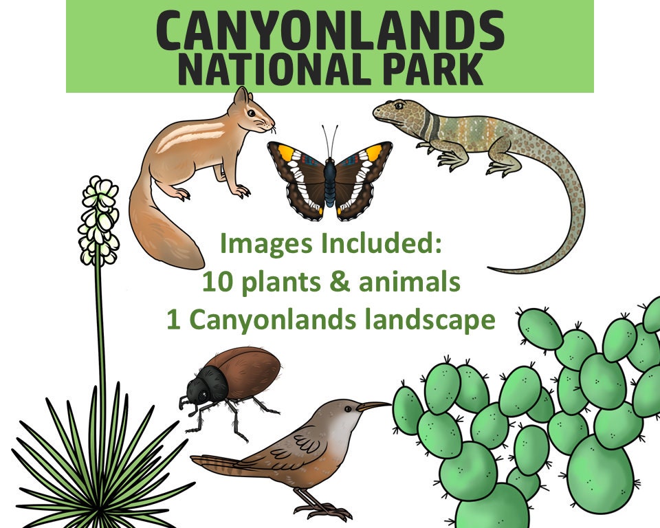 Canyonlands National Park Clip Art - National Park Clipart - Etsy