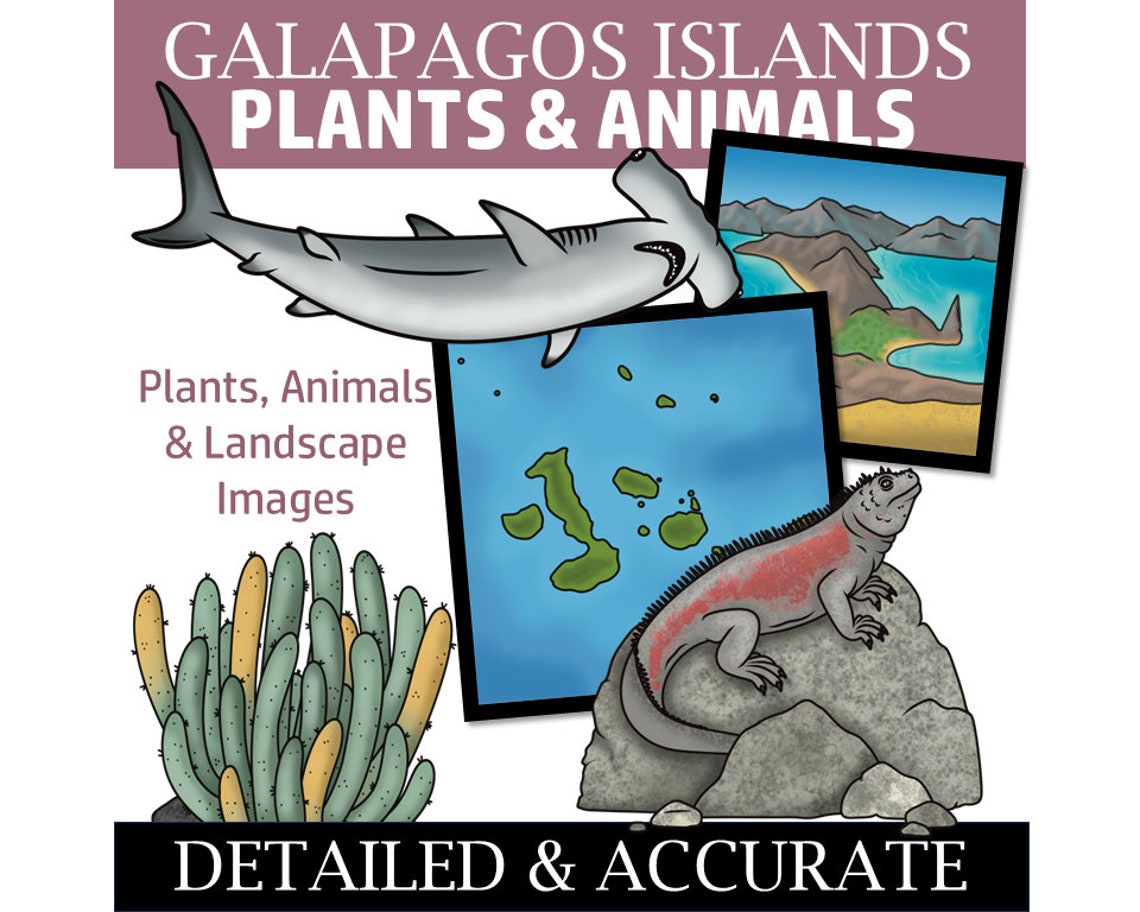 Galapagos Clip Art galapagos Plants and Animals Clipart - Etsy
