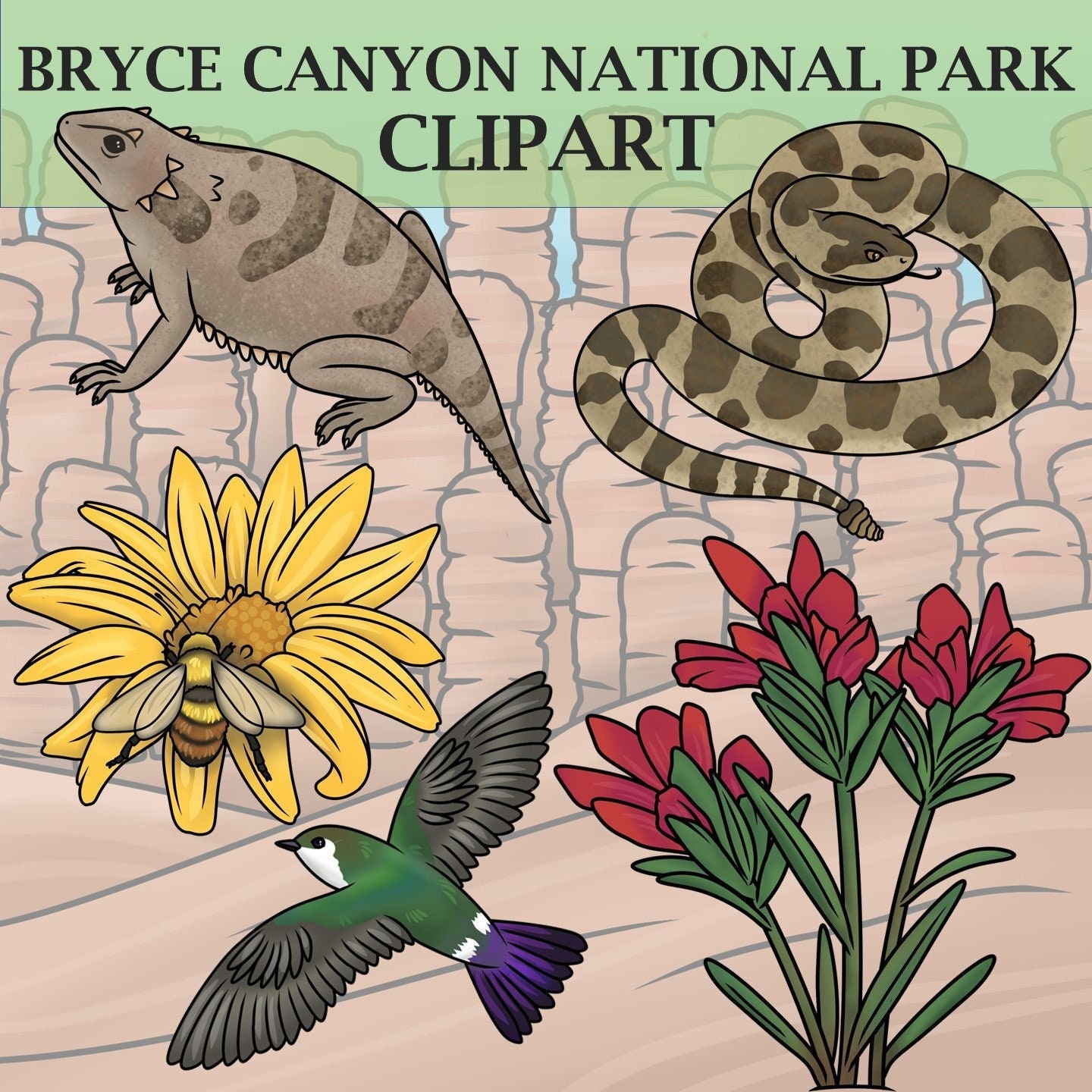 Plants and Animals of Bryce Canyon National Park Clipart Set - Etsy