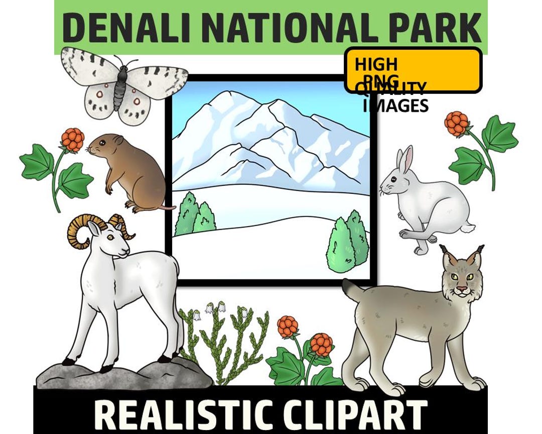 Denali National Park Clip Art - Etsy