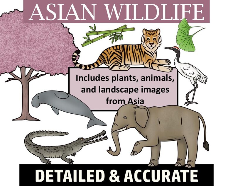 Wildlife of Asia Clip Art (asian Plants and Animals Clipart) - Etsy