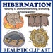 Hibernating Animals Clip Art - Etsy