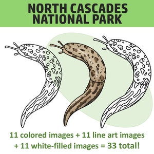 North Cascades National Park Clipart - National Park Clip Art - Etsy