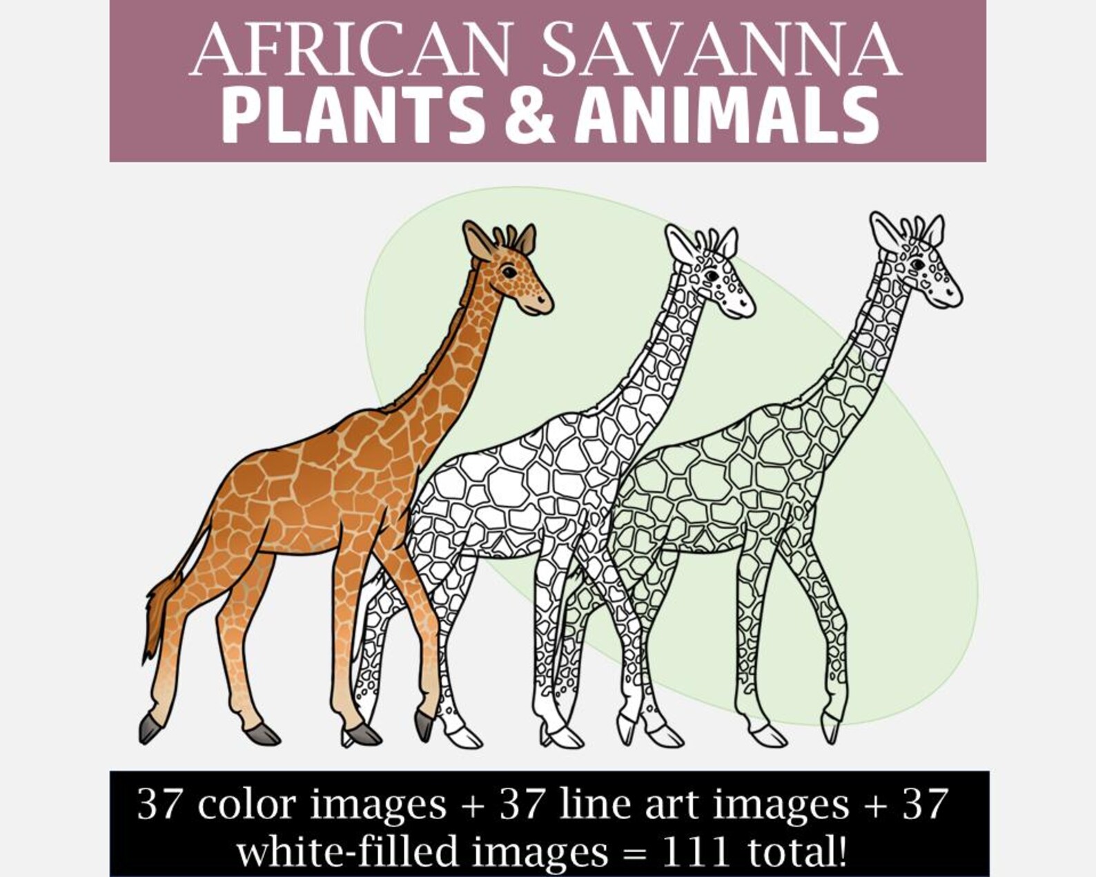 Plants and Animals of the African Savanna Clipart - Etsy