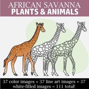 Plants and Animals of the African Savanna Clipart - Etsy