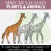 Plants and Animals of the African Savanna Clipart - Etsy