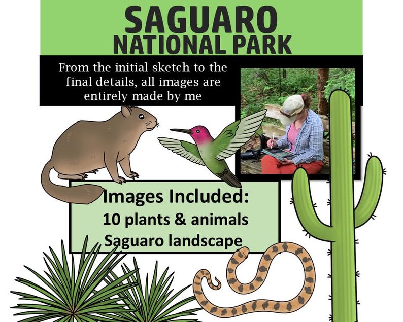 Saguaro National Park Clip Art - Etsy