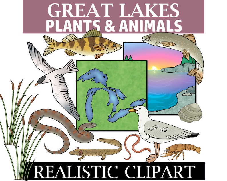 Great Lakes Clip Art plants and Animals of the Great Lakes Clipart - Etsy
