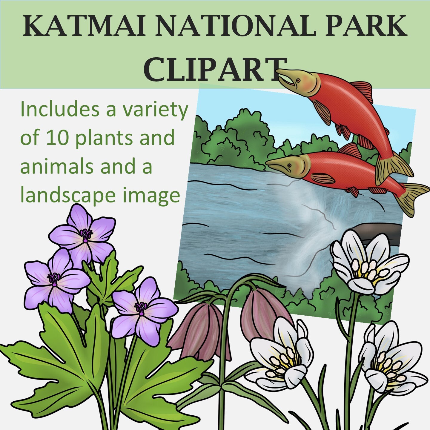 Plants and Animals of Katmai National Park Clipart - Etsy