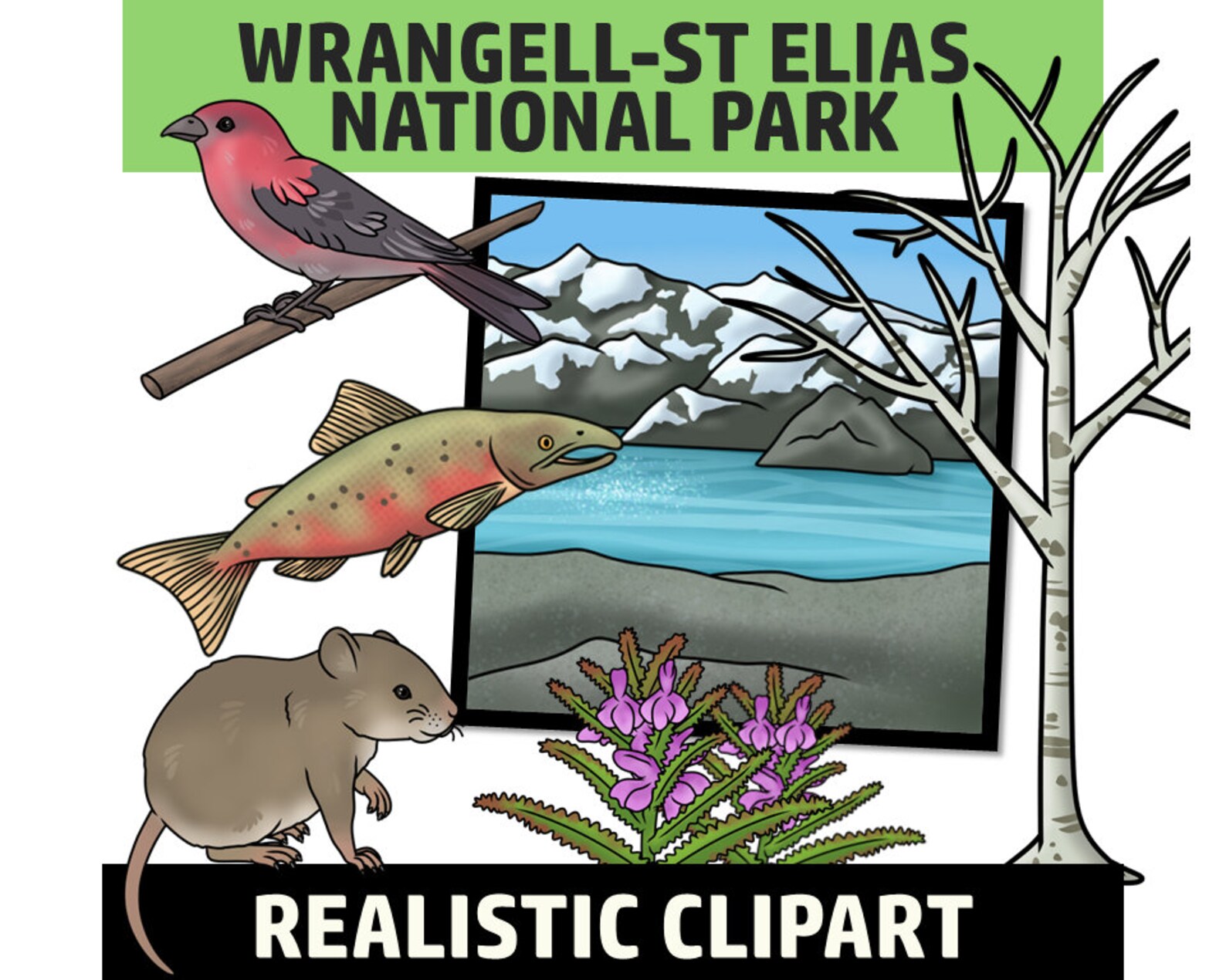 Wrangell-st. Elias National Park Clipart: Plants & Animals - Etsy