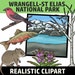 Wrangell-st. Elias National Park Clipart: Plants & Animals - Etsy