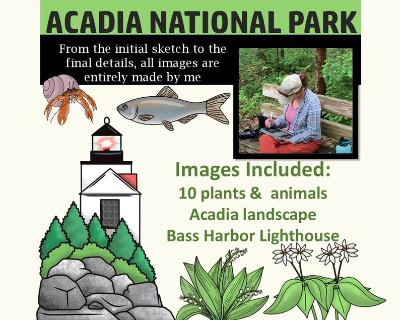 Acadia National Park Clip Art National Park Clipart - Etsy