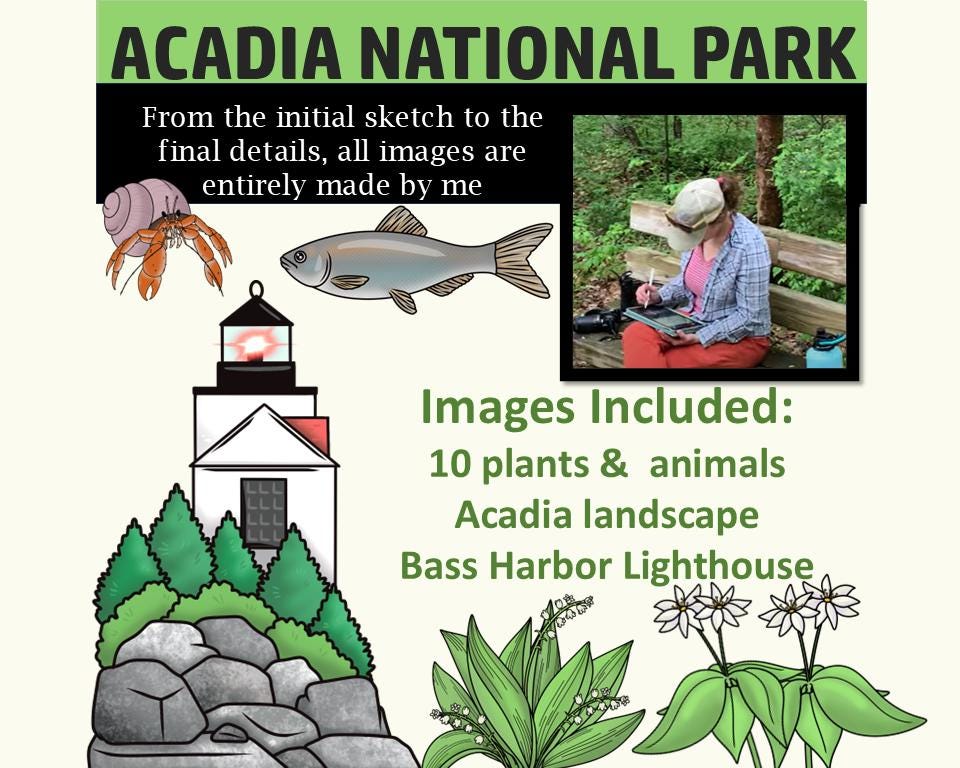Acadia National Park Clip Art - National Park Clipart - Etsy