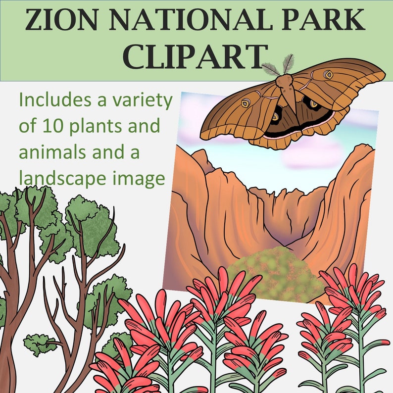 Plants and Animals of Zion National Park Clipart - Etsy