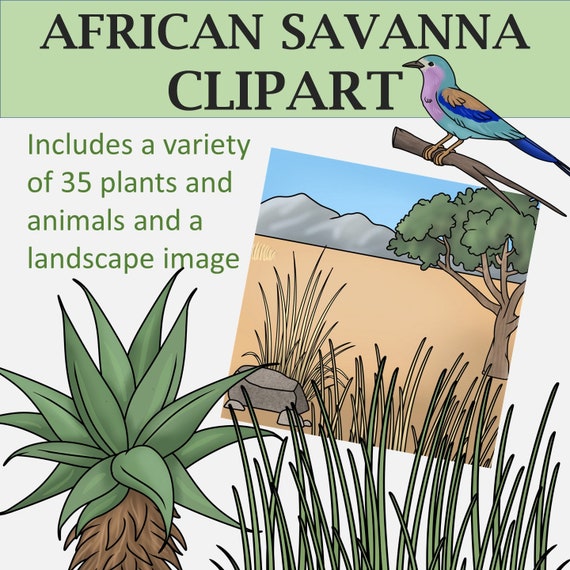 African Plants And Animals